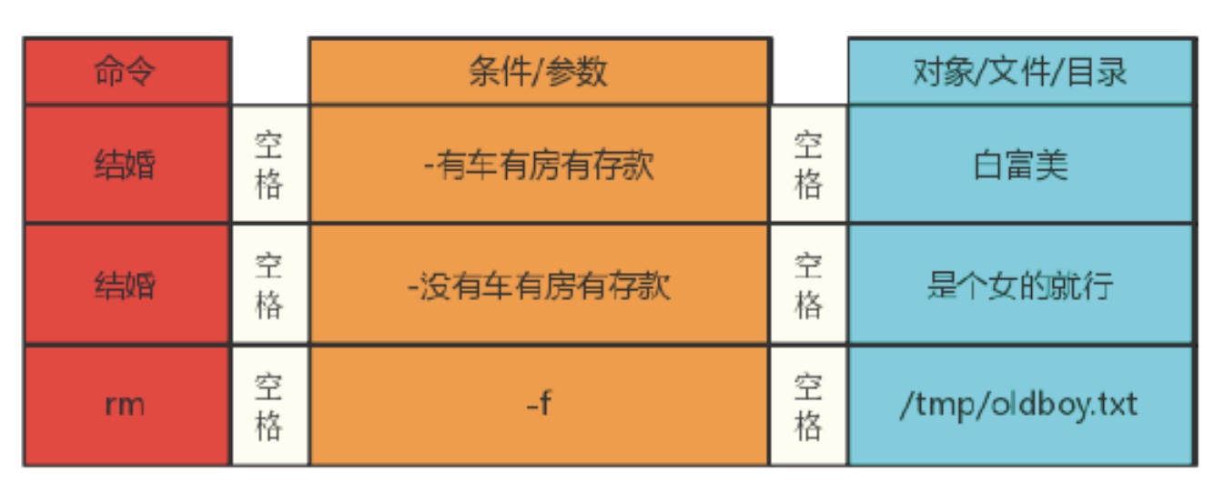 Linux系统命令基础 · GitBook